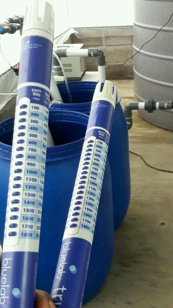 Best 5 Hydroponic Tester (PPM Meter, pH Meter, And EC Meter)