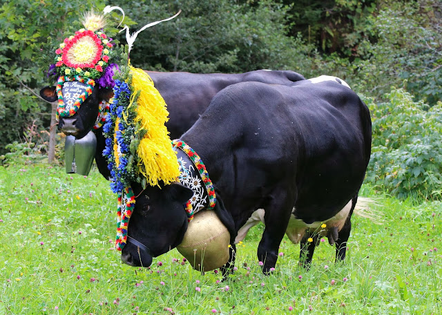 Antique Style: Fall Festival in the Alps: Party Til The Cows Come Home