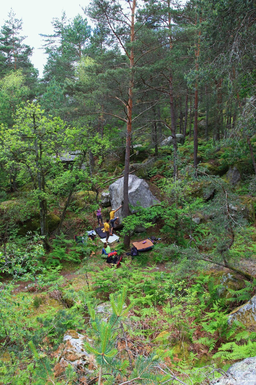 Bleau-zone never stop exploring ~ FontaineBleau Passion