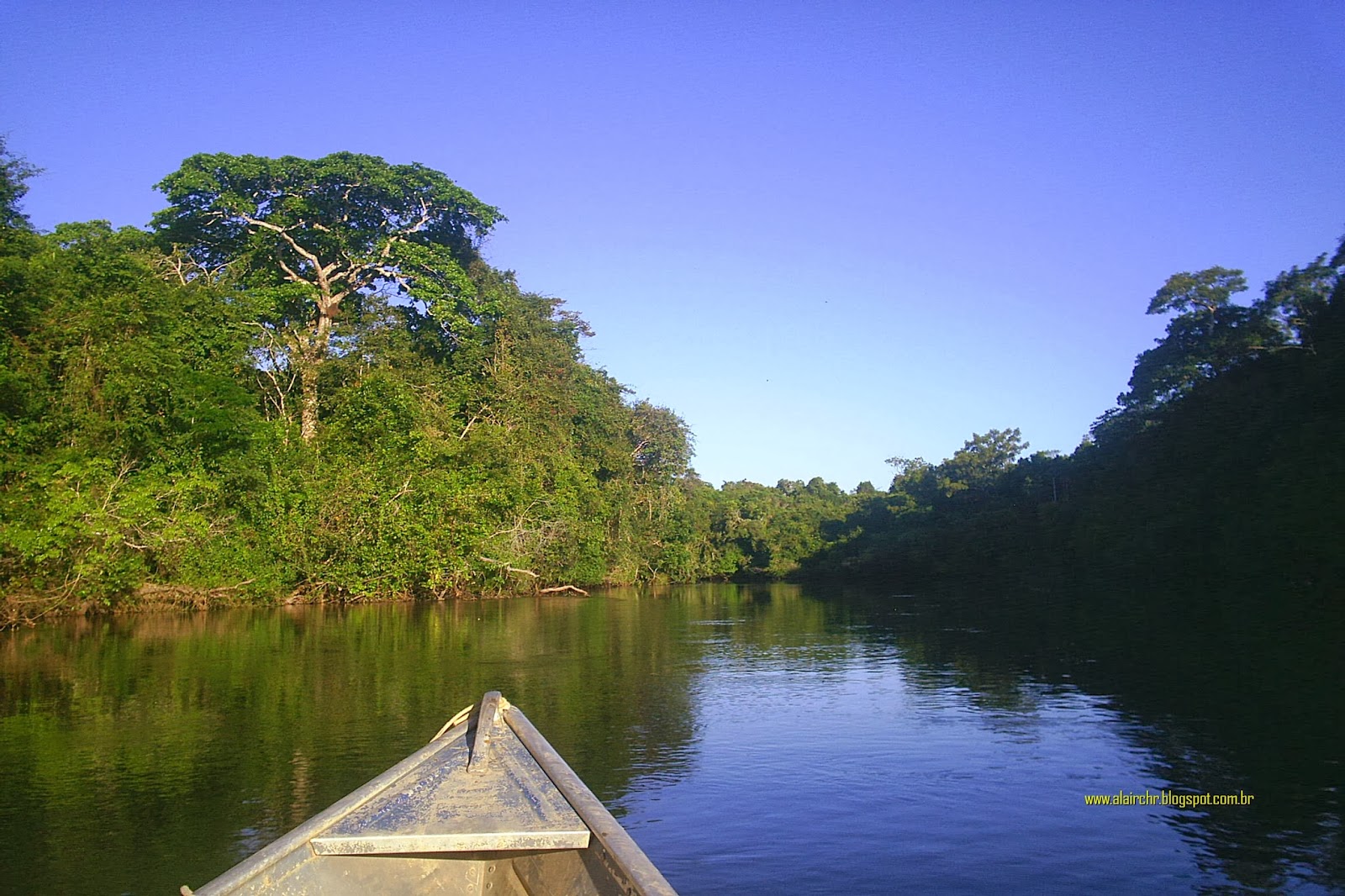 SHOWS E VIAGENS: RIO CURUÁ - Novo Progeresso (Pará)