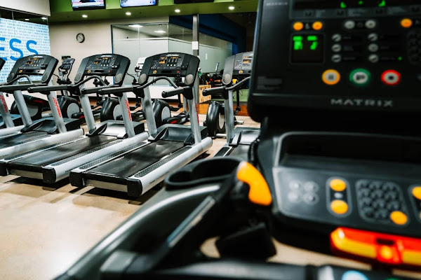 Human Fitness: Choose the best treadmill for you