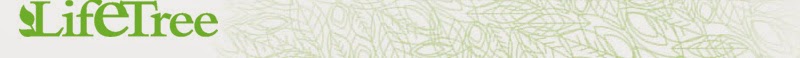 LifeTree Products - Michelles Comments