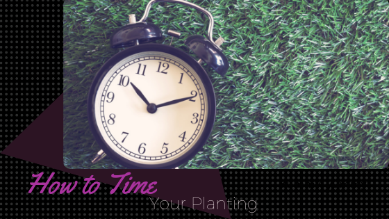 How to Time Your Planting
