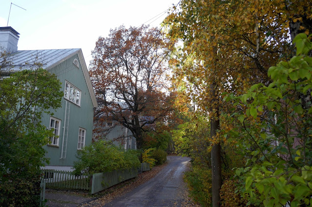 Enjoy the beauty of Autumn - this is how the autumn colors look like in ...