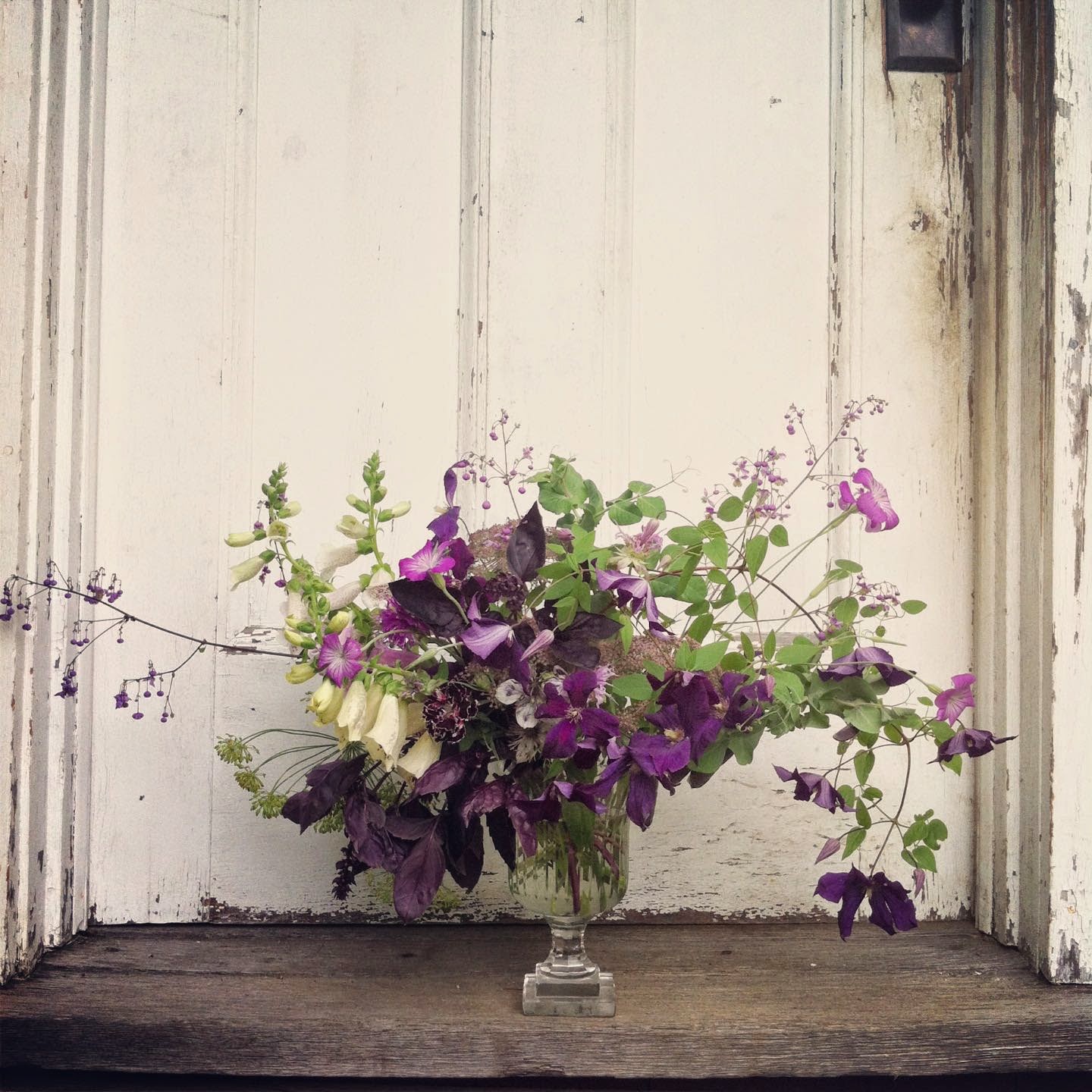 Chickadee Hill Flowers: FLOWERS