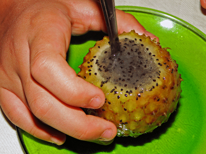 Compartiendo Recetas: Cóctel de copao