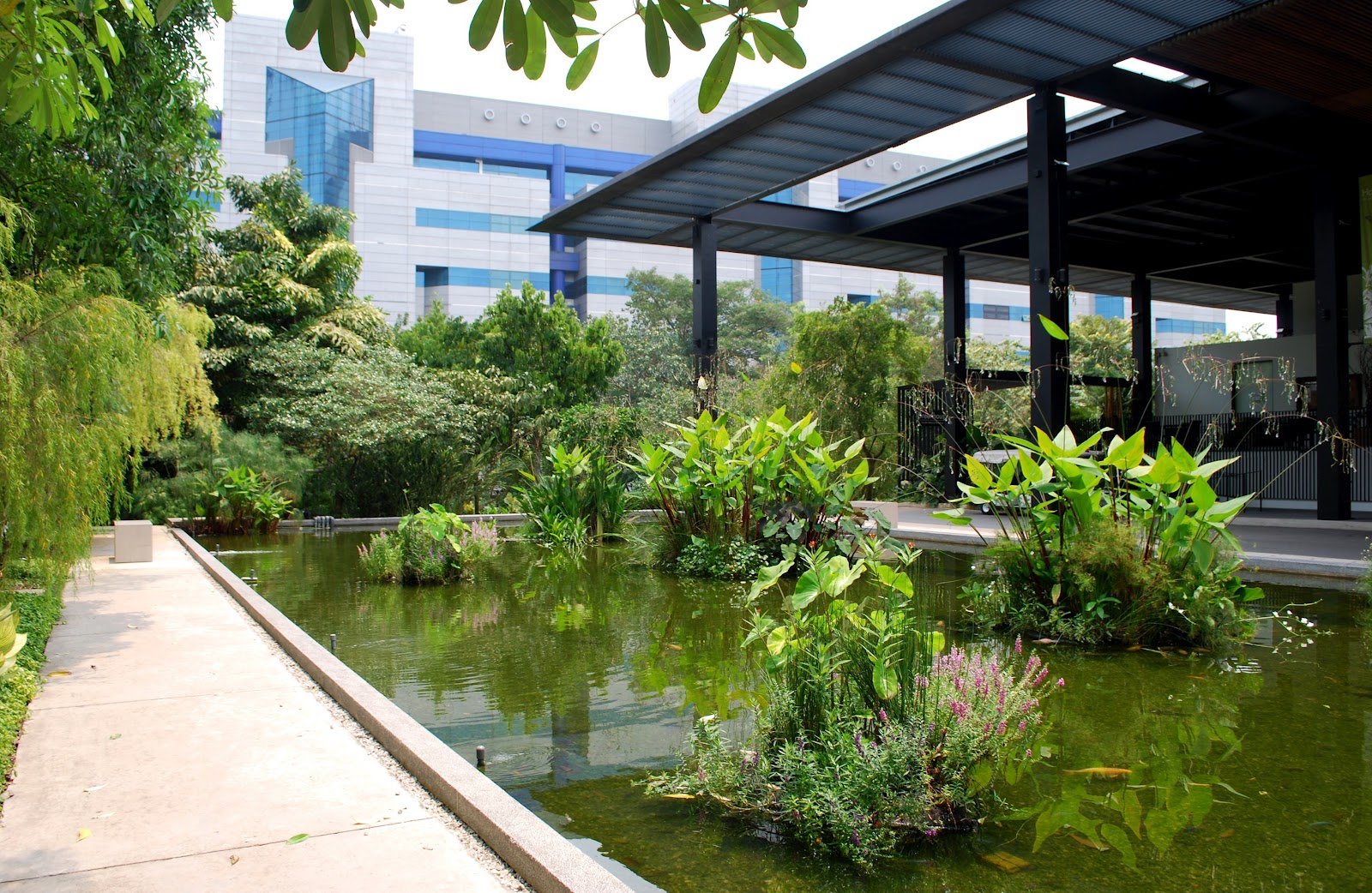 The Intercontinental Gardener: HortPark in Singapore - a great idea to ...