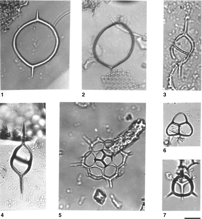 About Fish and Marine Science: Juli 2011