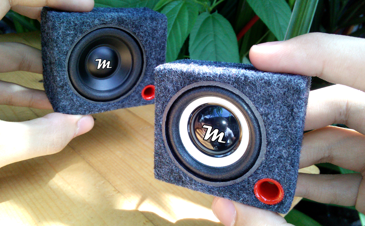 DIY Mini Subwoofer: Mini Subwoofer - Ride it (Bass Boosted)