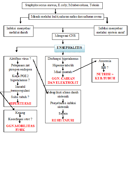 ASKEP ENCEPHALITIS PDF