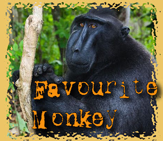 Shelf Monkey: Favourite Monkey #1: