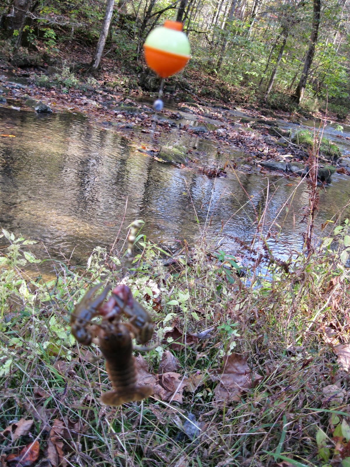 Lee County Virginia: Stop # 20: Catching Crawdads on Martins Creek near ...