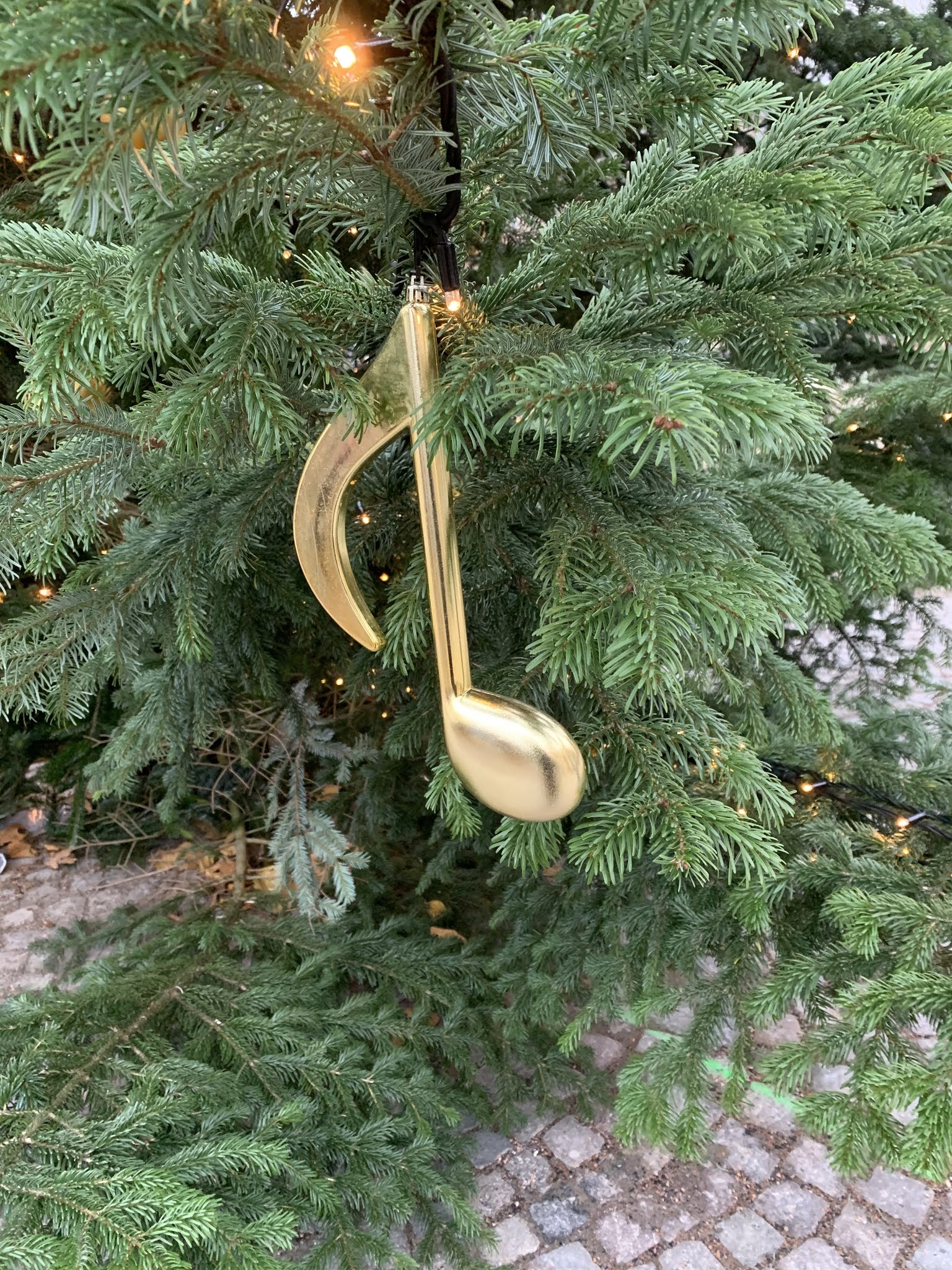 Destination Lund Sweden: Tourism, history and culture: Christmas trees ...