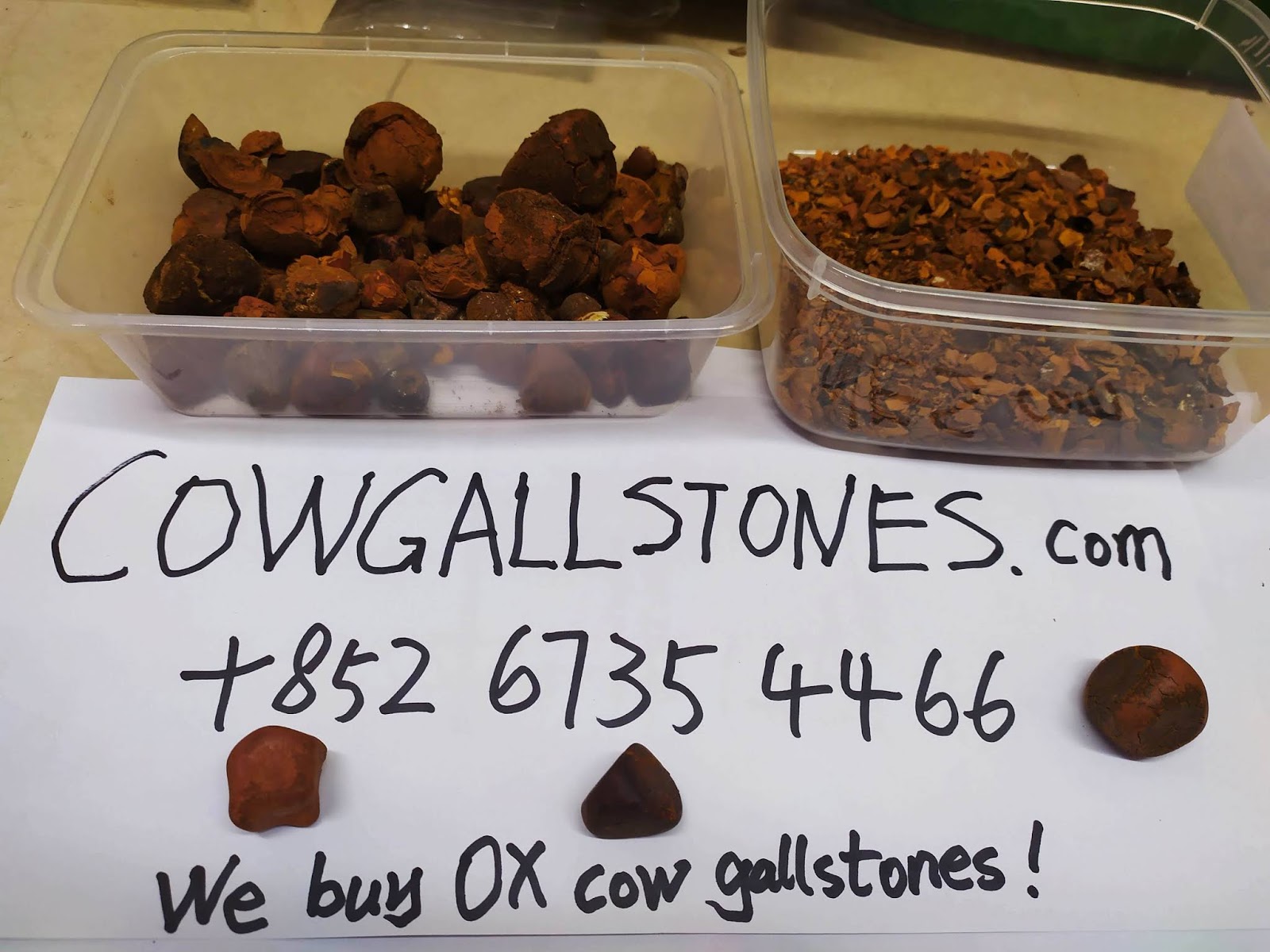 We Buy OX GALLSTONES
