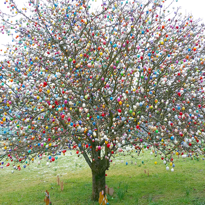 The One with the Osterbaum / Easter Tree | Paige Taylor Evans