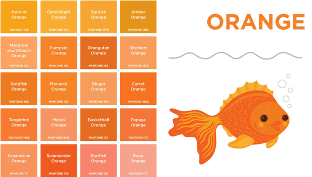 Warna Color: Psikologi dan Fakta Tentang Warna Orange