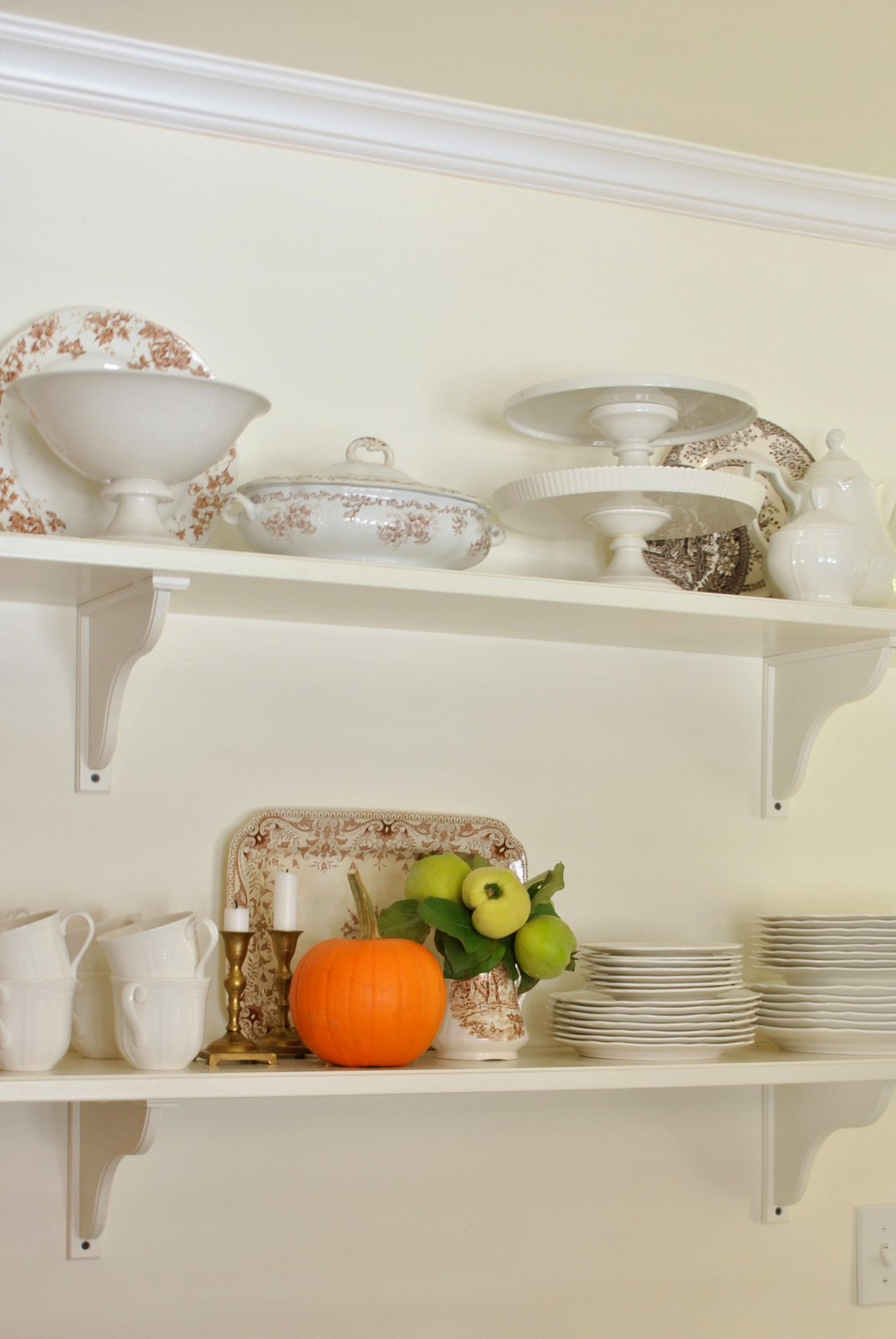 The Grower's Daughter: Autumn Shelves