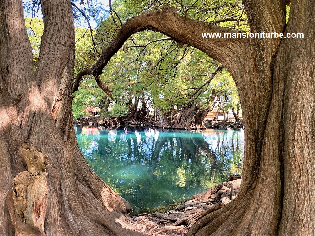 Lago de Camécuaro un Lugar Mágico en Michoacán
