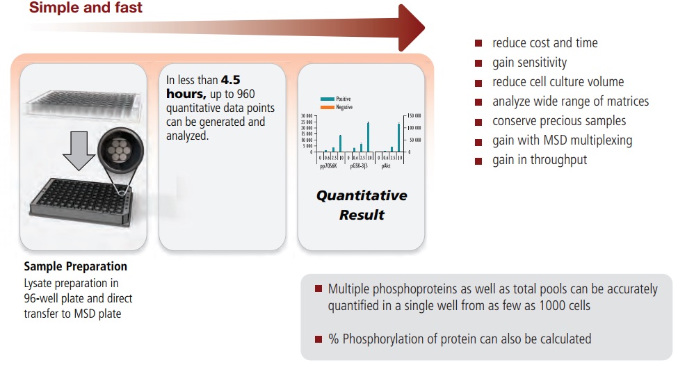 超靈敏電化學發光免疫分析技術 Electrochemiluminescence (ECL)_組織均質液樣品