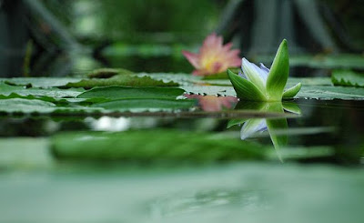 IT BLOG: 5 Jenis Angle Dalam Fotografi