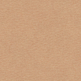 HIGH RESOLUTION TEXTURES: Tileable Human Skin Texture #6