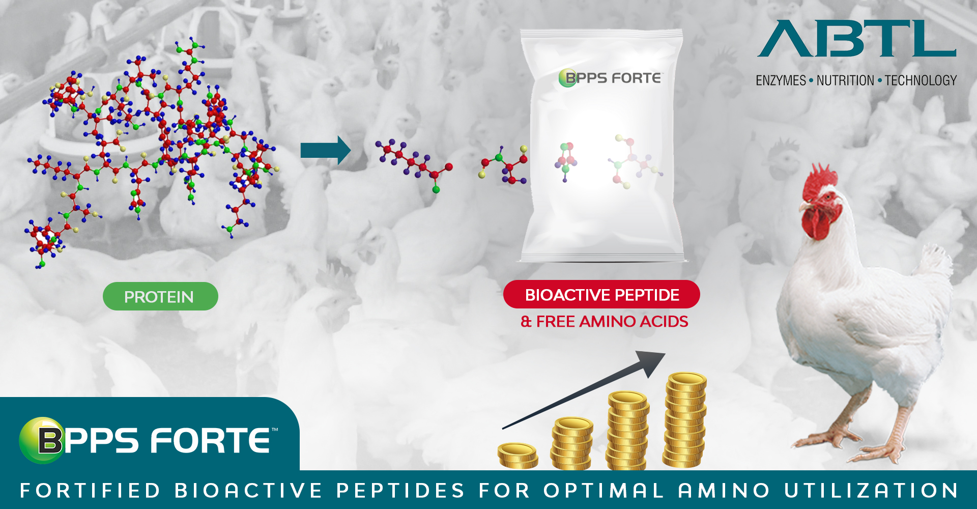 Advanced Bio-Agro Tech Limited (ABTL): Use of hydrolyzed bioactive ...