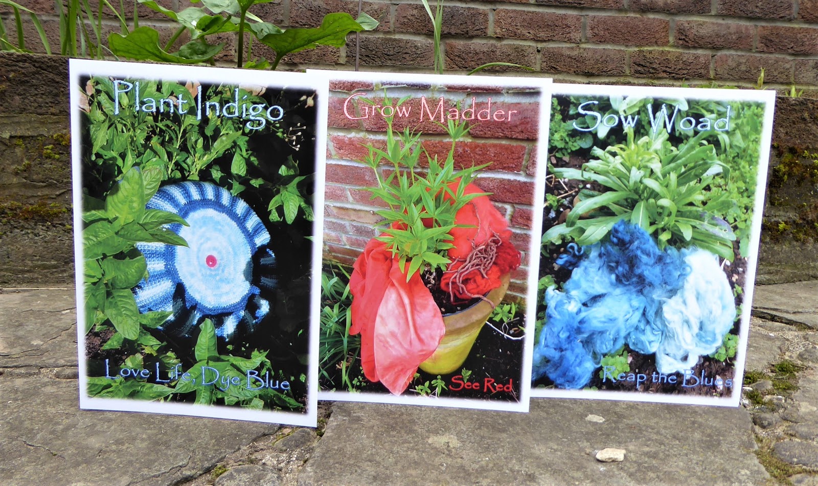 Wool - Tribulations of Hand Spinning and Herbal Dyeing: Plant Dye ...