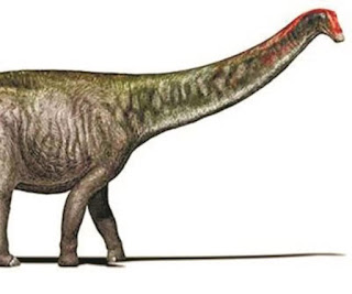 Fundacion Dinosaurios Cyl: Vuelve el brontosaurio