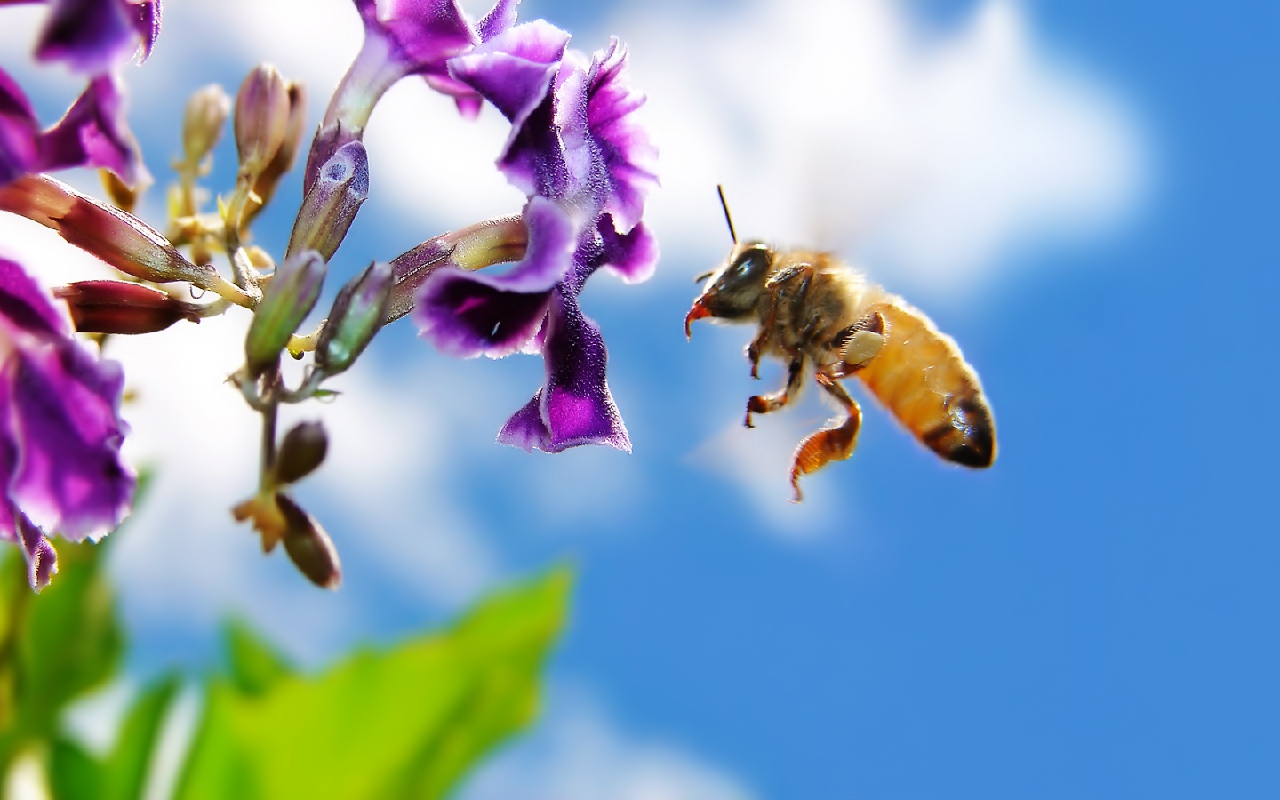 Lessons On Learning From Nature The Way Of The Fool lessons-on-learning-from-nature-the-way-of-the-fool