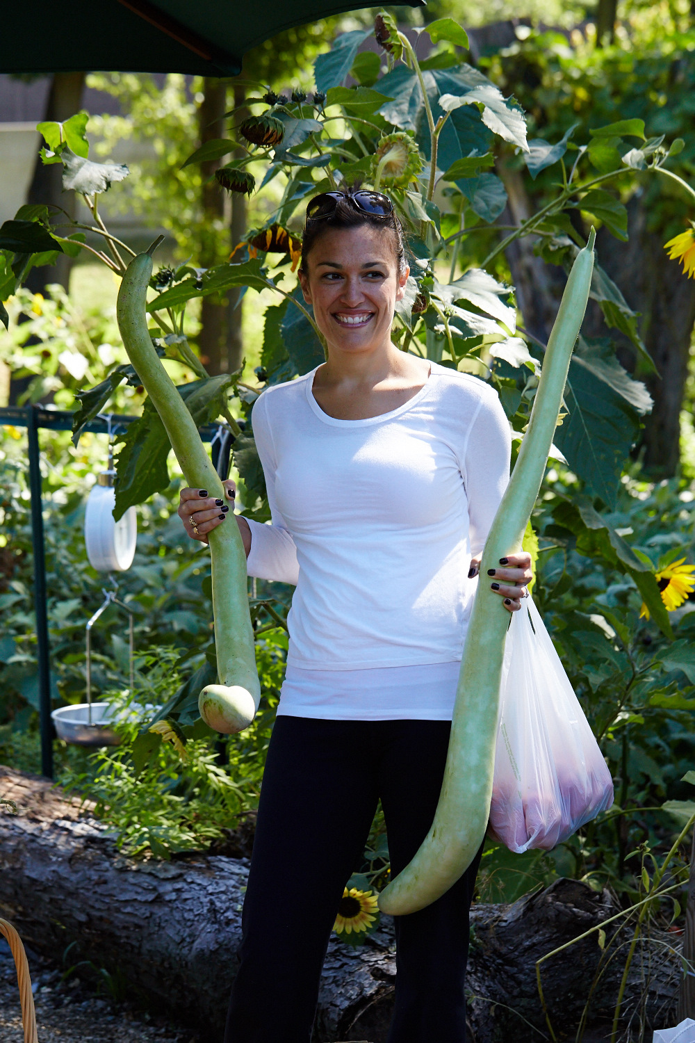 Stewed Italian Cucuzza Squash