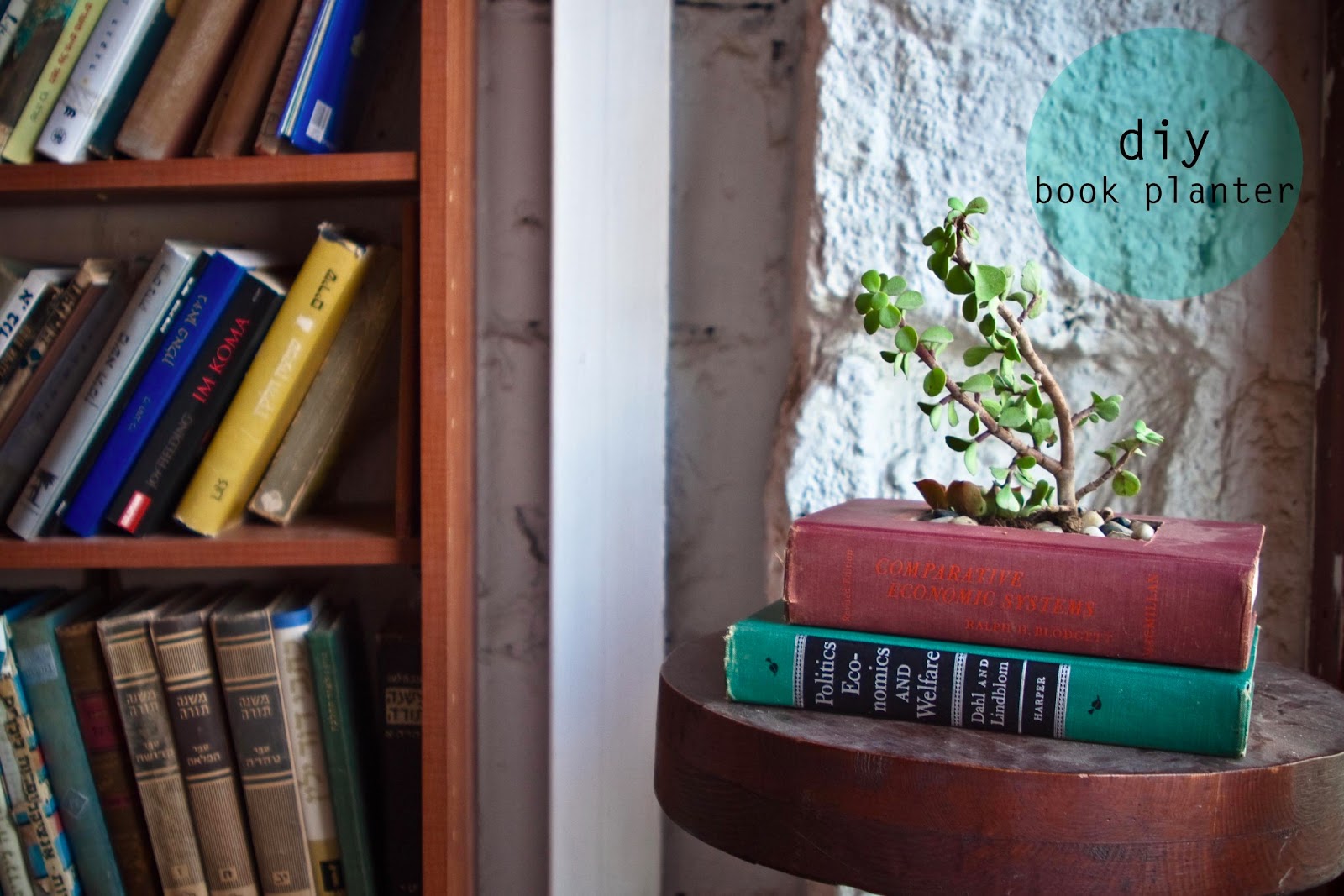 hastudia : הסטודיה: DIY: book planter