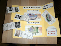LAPBOOK LAS CÉLULAS