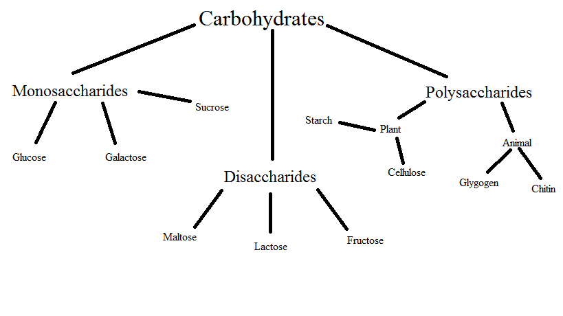Ms. Kat's Science Class