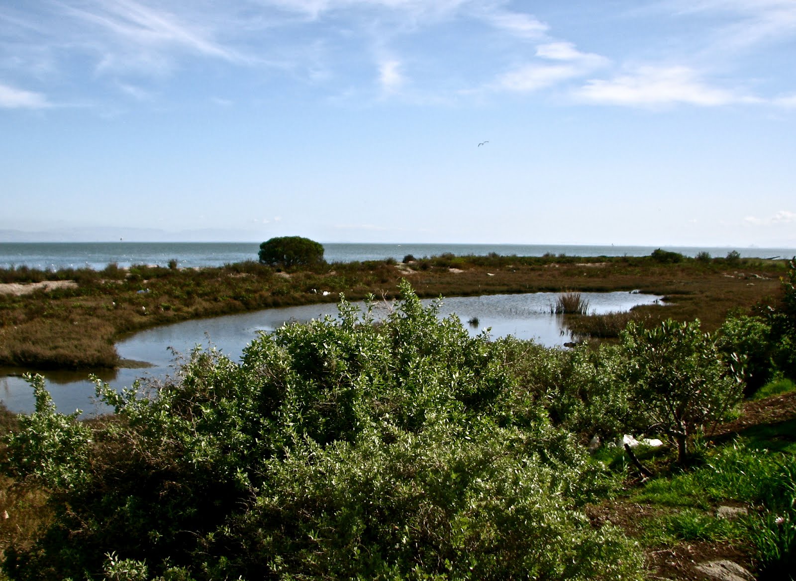 State Park Closures Trip: CANDLESTICK POINT STATE RECREATION AREA: TRIP ...