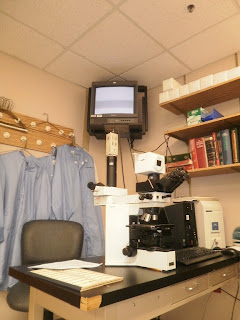 The Making of a Pathologists' Assistant: A Trip to the Pathology ...