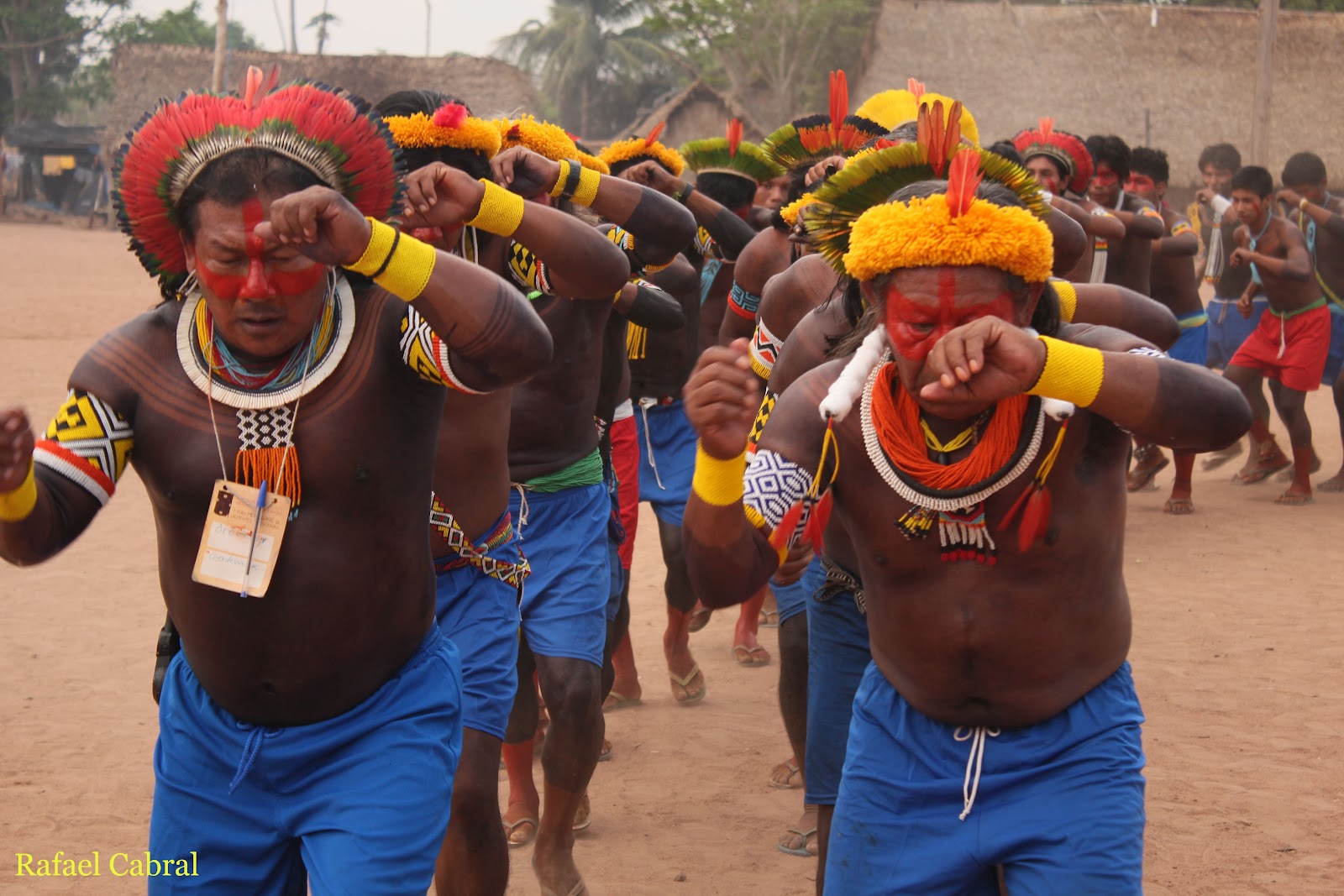 Blog da Funai: Feira de sementes tradicionais fortalece tradição ...