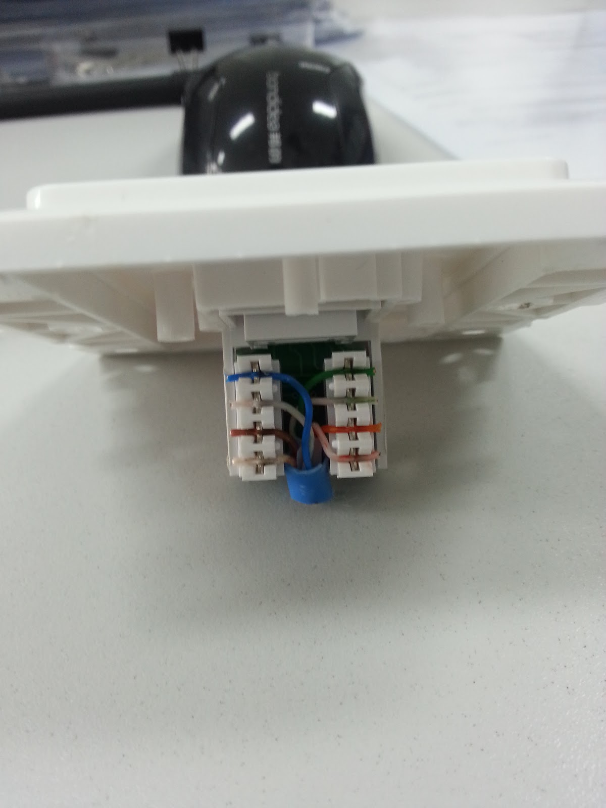 Nit Solution How To Punch Network Cable Into The Jack nit-solution-how-to-punch-network-cable-into-the-jack