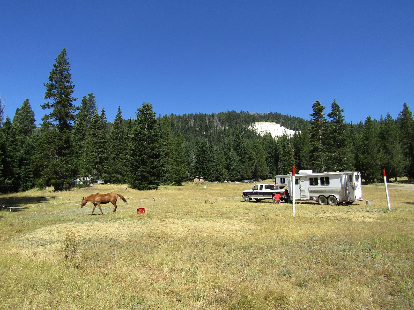 Holly's Horse Tales and Trails: Black Pine and Conrad Meadows Horse ...
