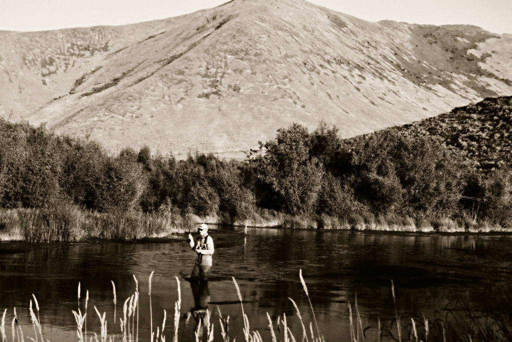 Silver Creek and Unstructured Fiberglass ~ Rod Catalog