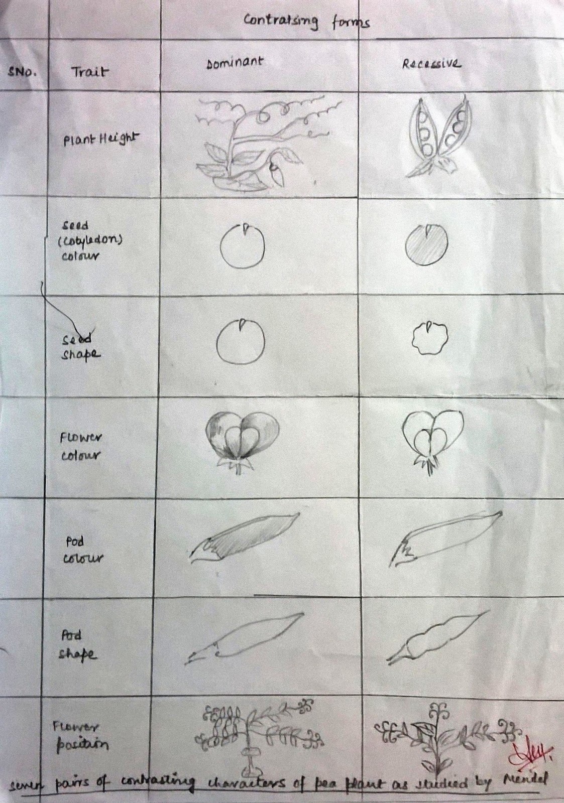 practical diagrams which are to be drawn