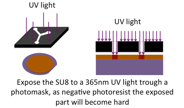 Explore SU-8 and Descum Plasma Process Occur in Industries