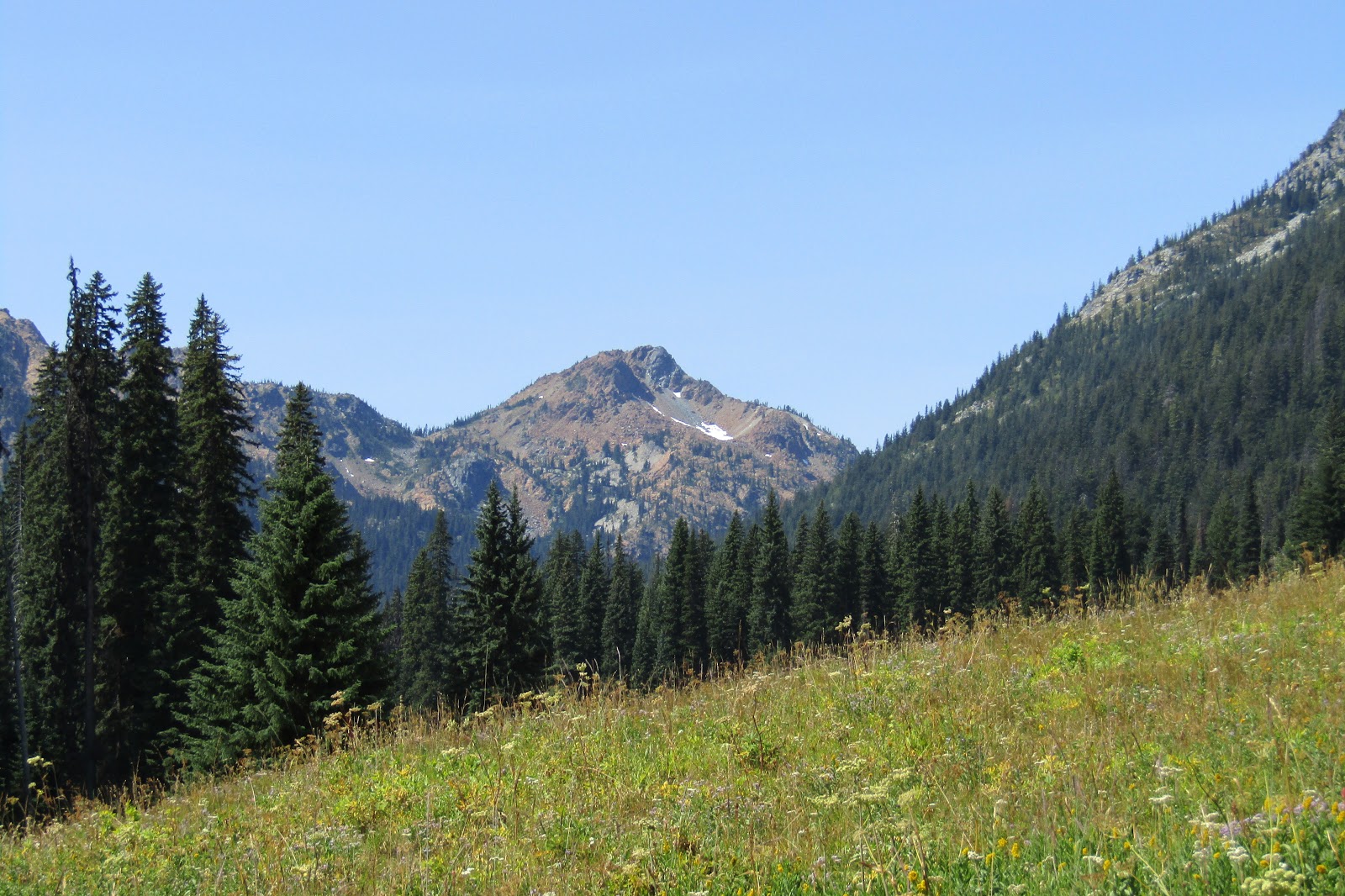 Holly's Horse Tales and Trails: Black Pine and Conrad Meadows Horse ...