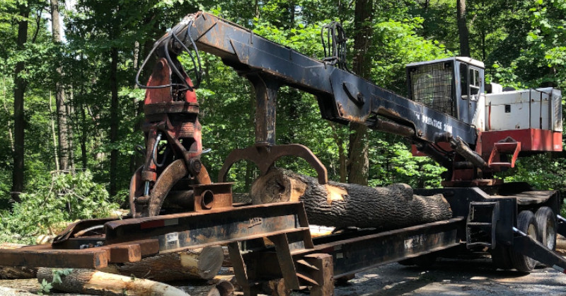 Support Roaring Rock Park: Commercial logging has started at Roaring ...