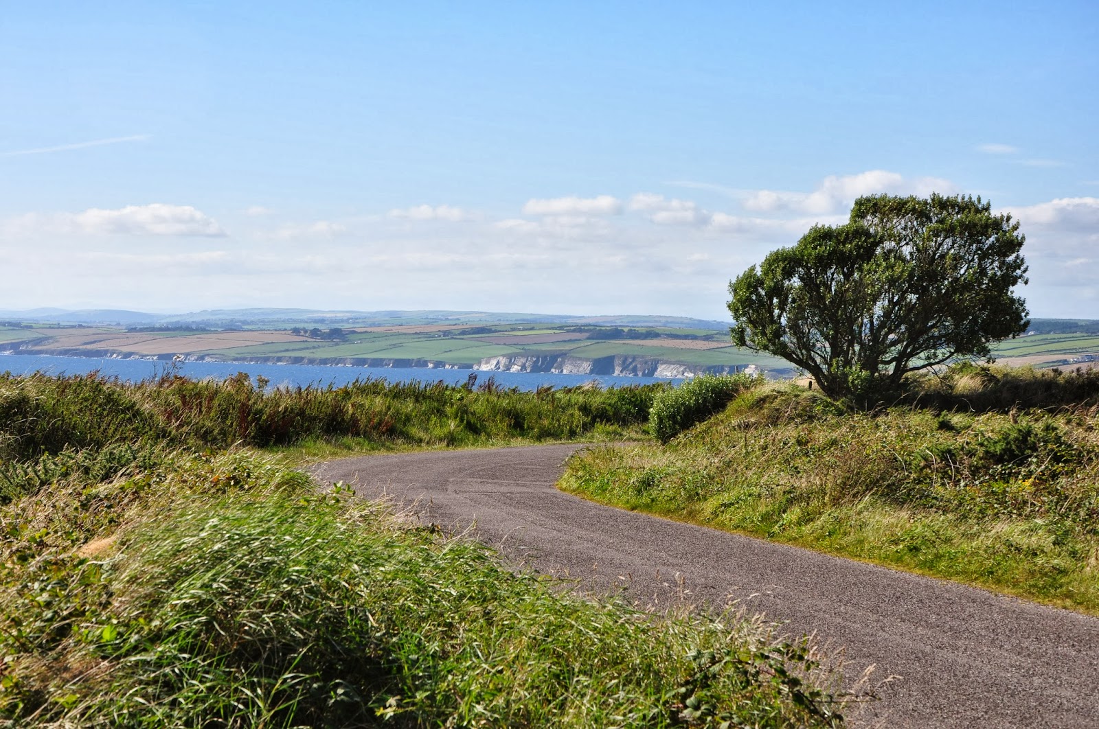 Ireland Through The Trees | I have the wanders