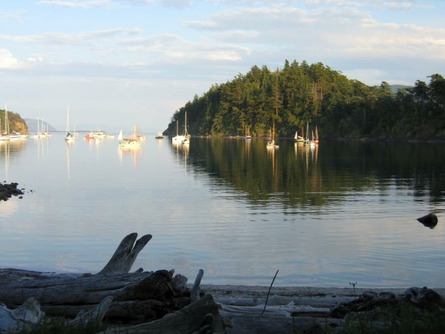 This is Harvey dory plans | Bayumi