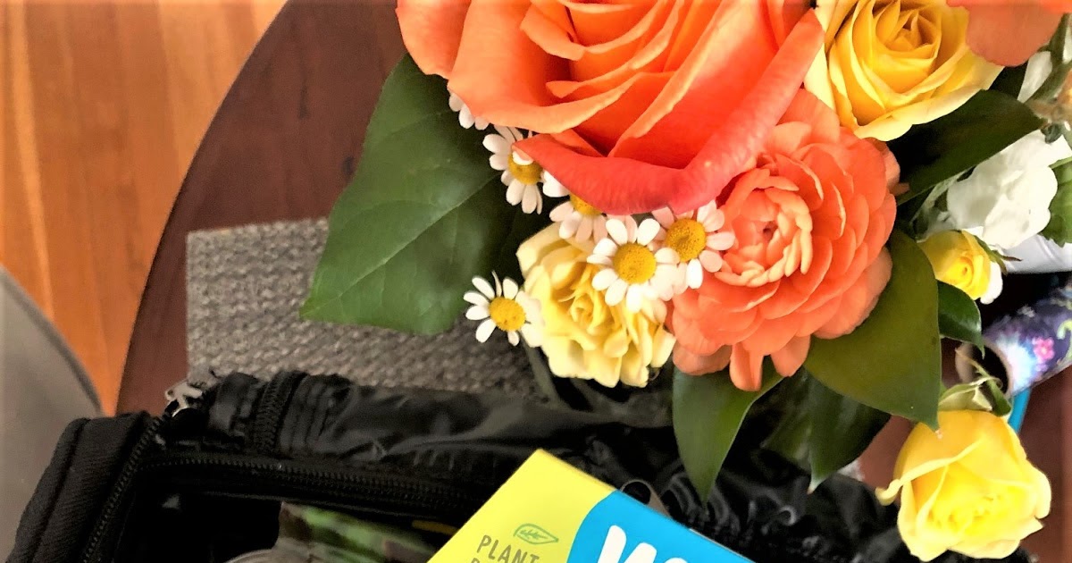 Prim and Propah: Wayfare Pudding is Perfect for the Propah Kids!