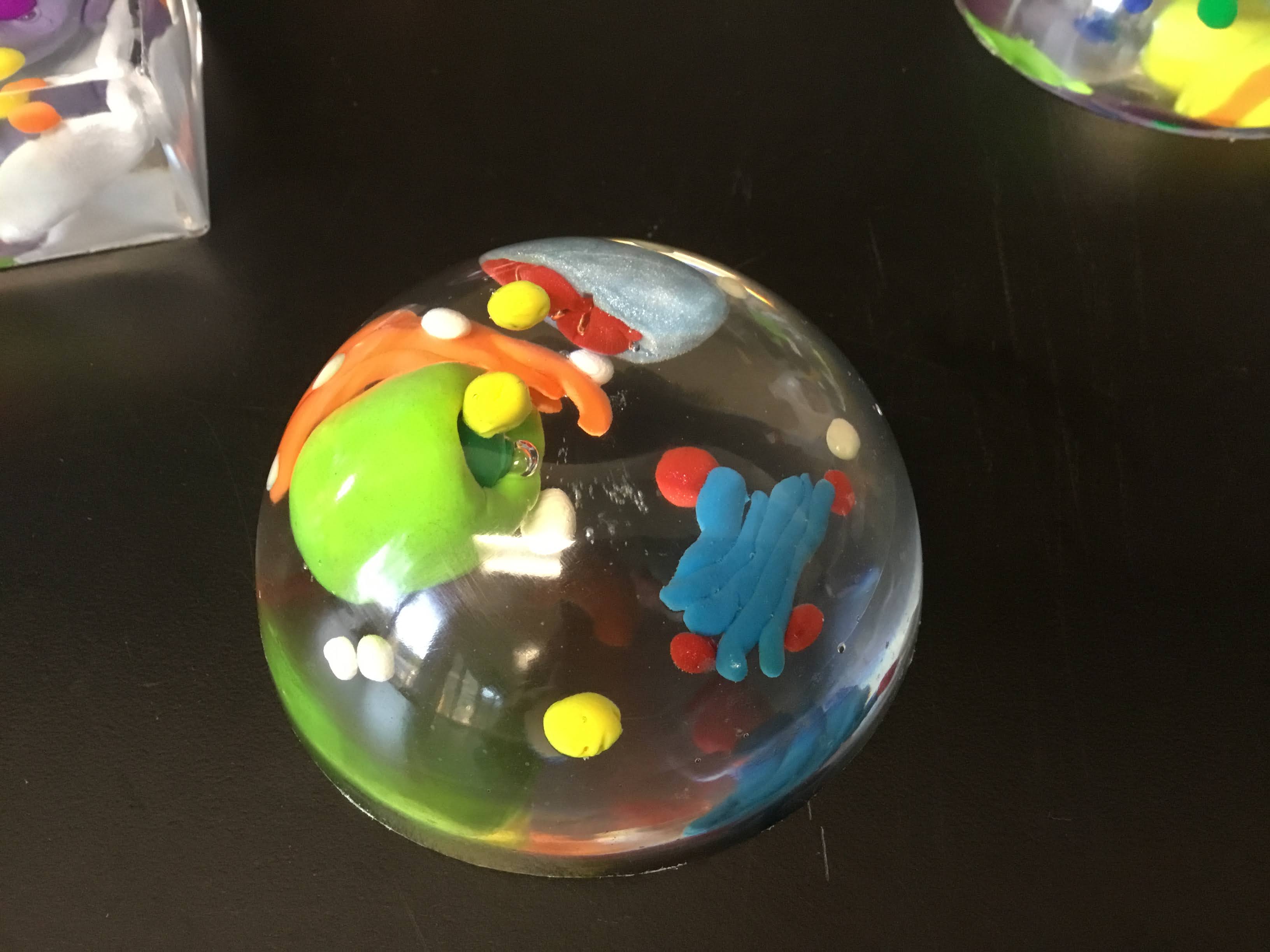 Biology by the Math Mom: Resin Cells: Adding the “A” in STEAM