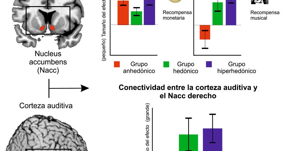 E.Bs.As: Anhedonia musical específica