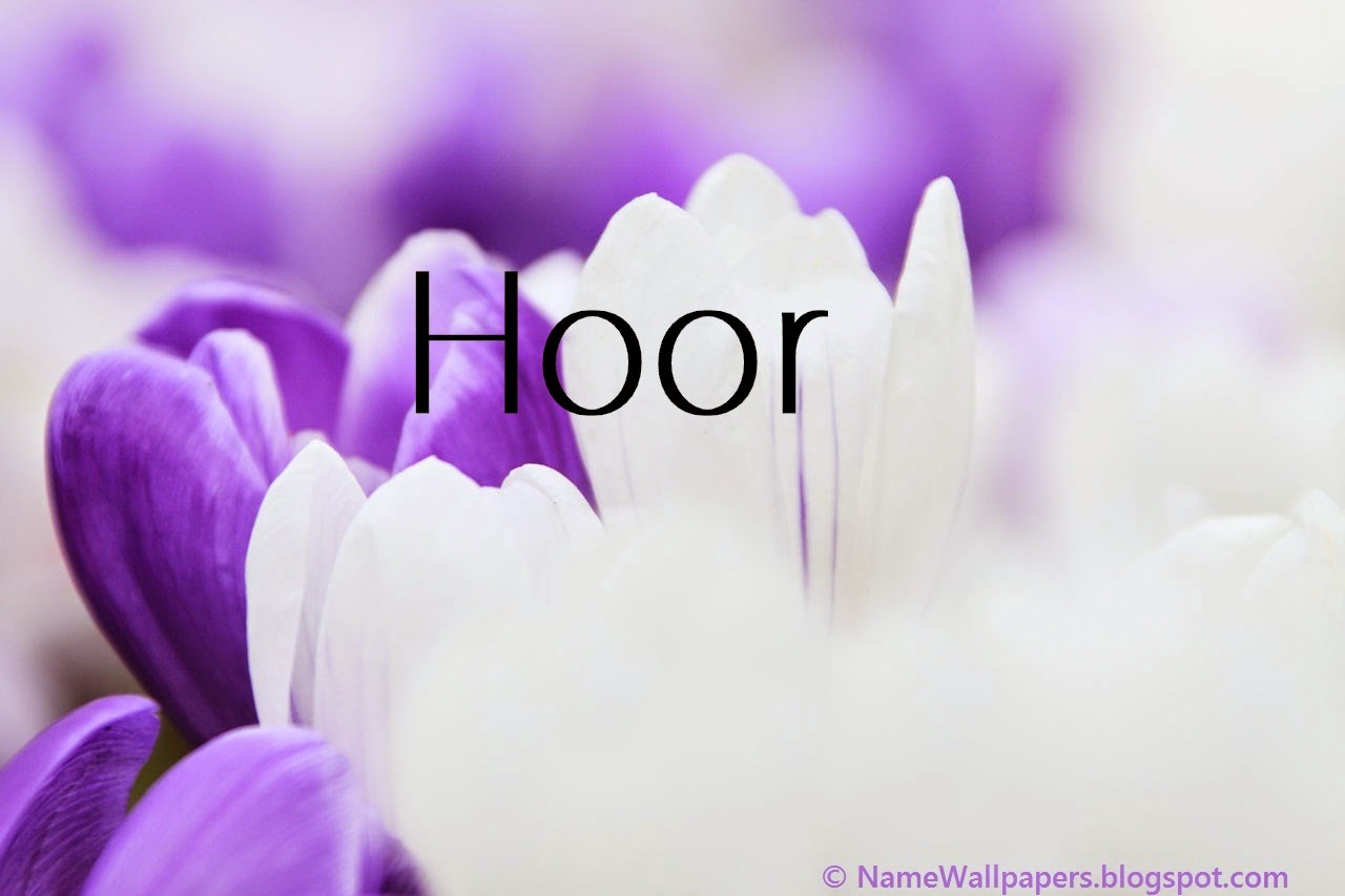 Hoor Name Wallpapers Hoor ~ Name Wallpaper Urdu Name Meaning Name ...