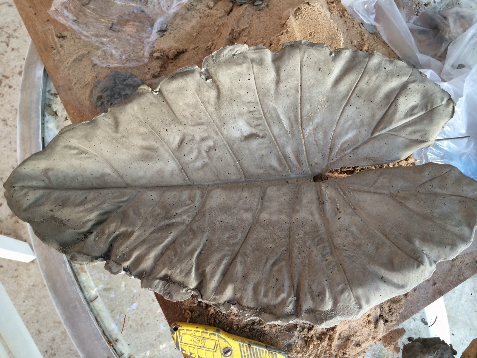 Garden AHHH: Elephant Ear Leaf Casting